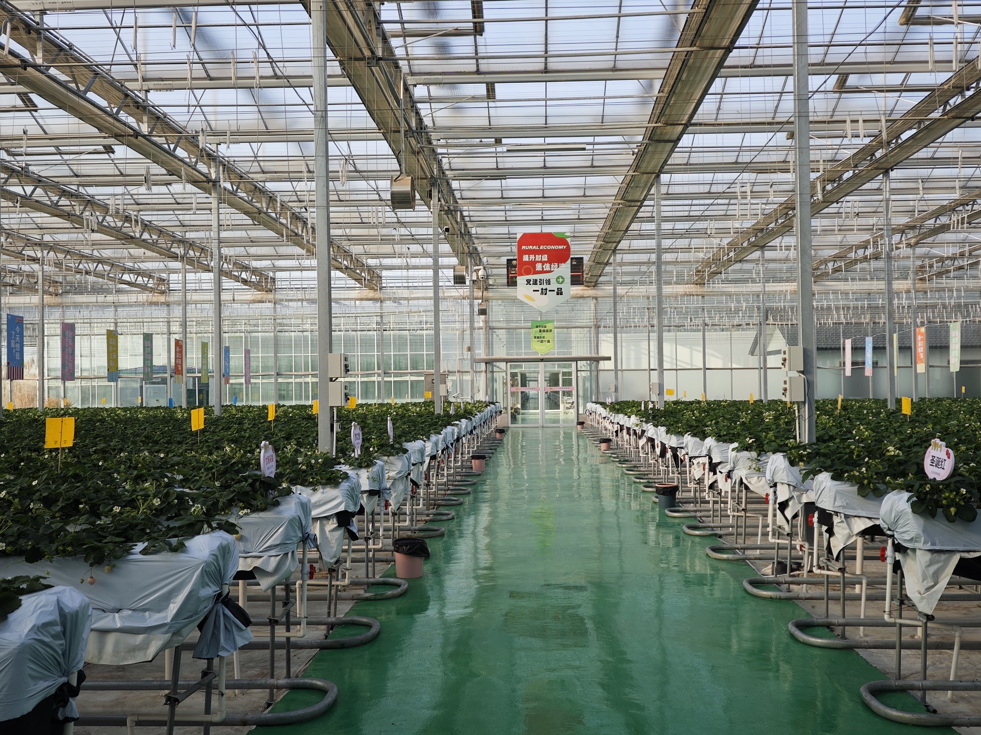 卡通风温室花卉种植场景插画素材 | AI智能生成设计模板-千图AI